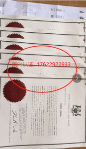 How to obtain a Canadian Non Criminal Record Check - 枫叶认证